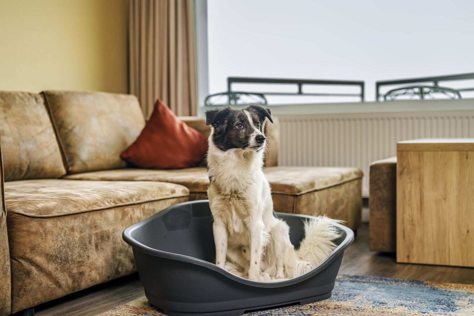 Willkommen im Ostsee Resort für alle, die eine gute Zeit suchen